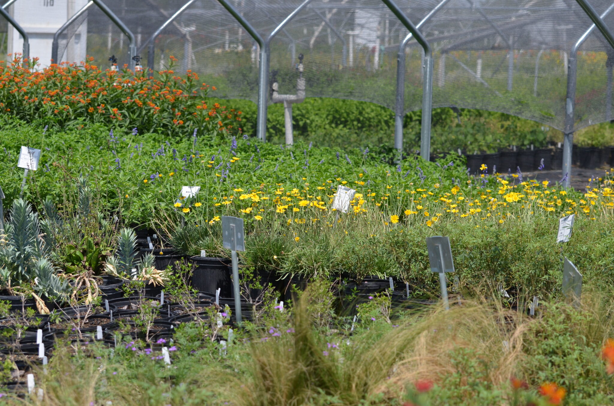 Environmental Horticulture Researcher Resources | IR-4 Intranet